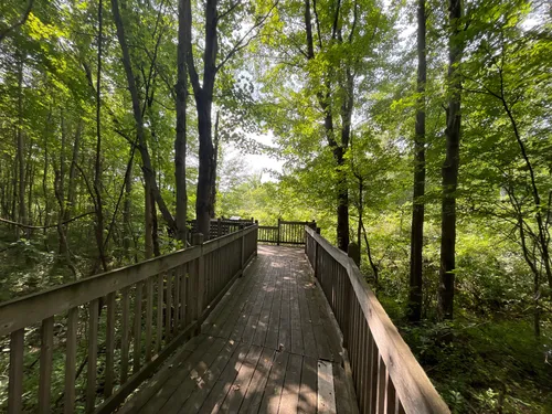 Best Hikes and Trails in Spicer Lake Nature Preserve | AllTrails