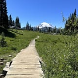 Tipsoo Lake Loop, Washington - 357 Reviews, Map | AllTrails