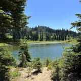 Tipsoo Lake Loop, Washington - 357 Reviews, Map | AllTrails