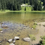Tipsoo Lake Loop, Washington - 357 Reviews, Map | AllTrails