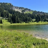 Tipsoo Lake Loop, Washington - 357 Reviews, Map | AllTrails