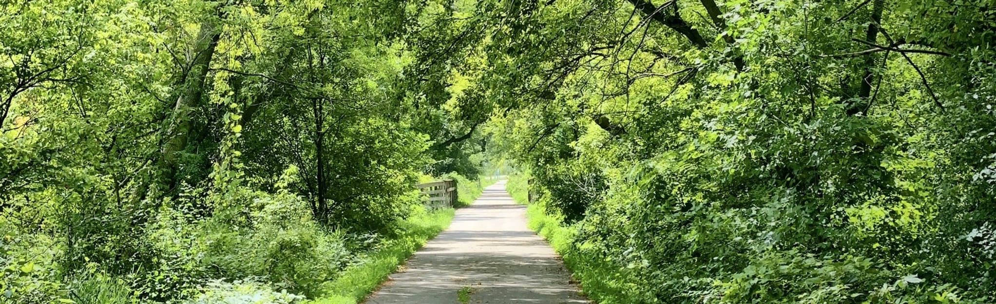 Great River Ridge Trail: 46 Reviews, Map - Minnesota | AllTrails