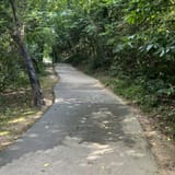Three Rivers Greenway Trail, South Carolina - 579 Reviews, Map | AllTrails