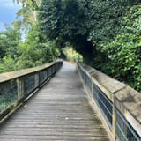 Three Rivers Greenway Trail, South Carolina - 579 Reviews, Map | AllTrails