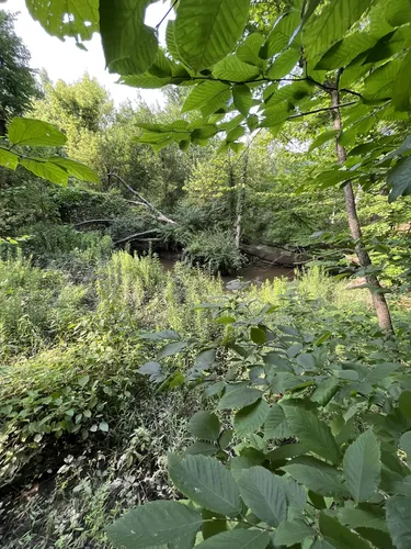 Best Hikes and Trails in Creek Ridge County Park | AllTrails