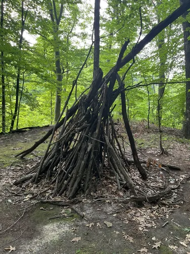 Best Hikes and Trails in Creek Ridge County Park | AllTrails