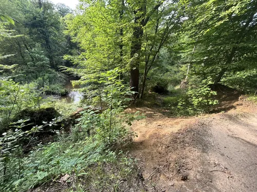 Best Hikes and Trails in Creek Ridge County Park | AllTrails