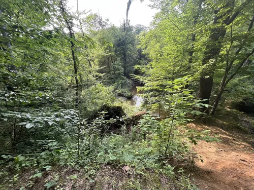 Best Hikes and Trails in Creek Ridge County Park | AllTrails