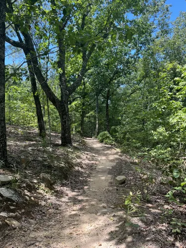 Best Hikes and Trails in Coldwater Mountain Doug Ghee Nature Preserve ...