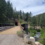 Bizz Johnson Trail, California - 186 Reviews, Map | AllTrails