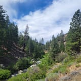 Bizz Johnson Trail, California - 186 Reviews, Map | AllTrails