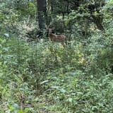 Kokosing Gap Trail to Mohican Valley Trail, Ohio - 292 Reviews, Map ...