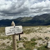 Alpine Ridge Trail, Colorado - 935 Reviews, Map | AllTrails
