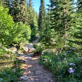 Beehive Lakes, Idaho - 455 Reviews, Map | AllTrails