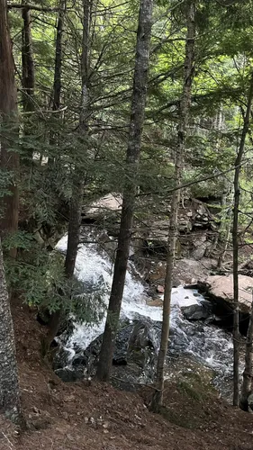 Best Forest Trails in Hanwell | AllTrails