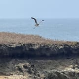 Point Arena-Stornetta Unit of the California Coastal National Monument ...