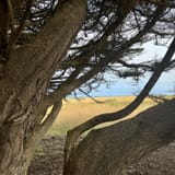 Point Arena-Stornetta Unit of the California Coastal National Monument ...