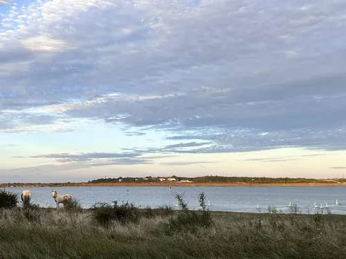 Best Hikes and Trails in RSPB Cliffe Pools Nature Reserve | AllTrails