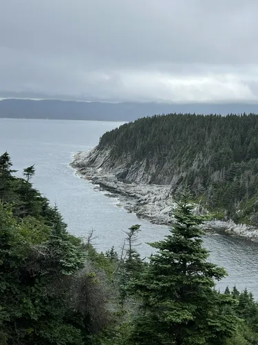 Best Short Trails in Englee | AllTrails