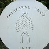Cathedral Tree Trail, Oregon - 922 Reviews, Map | AllTrails