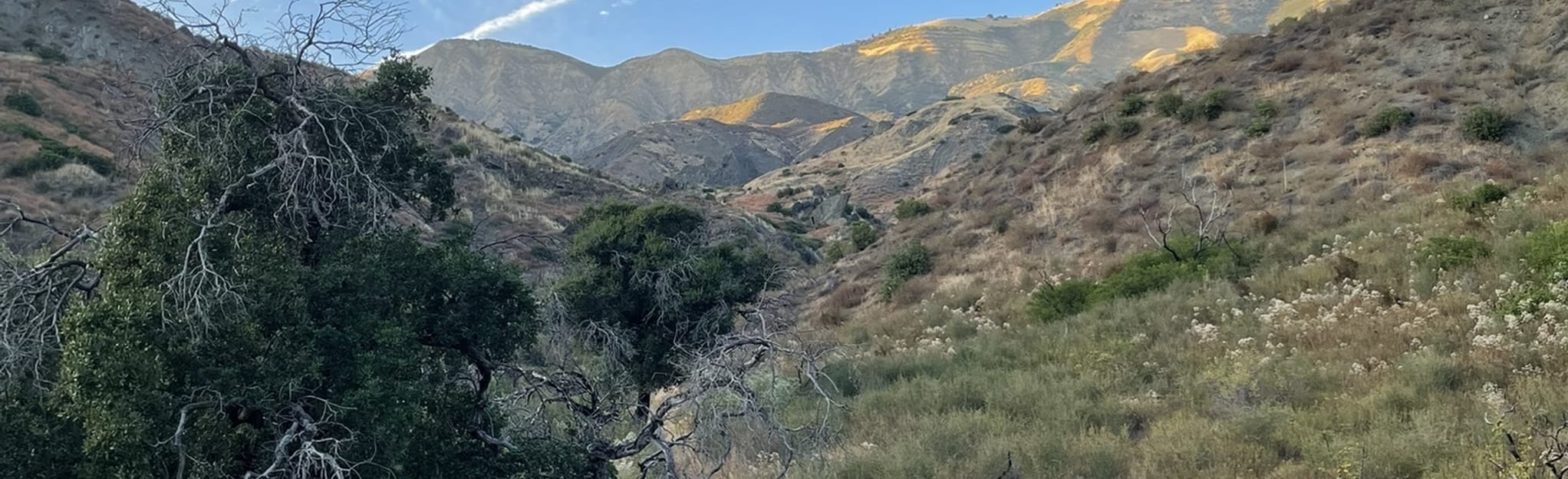 Santa Cruz Trail: Upper Oso Campground to Happy Hollow, California - 63 ...