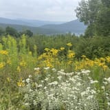 Shavertown Trail, New York - 275 Reviews, Map | AllTrails