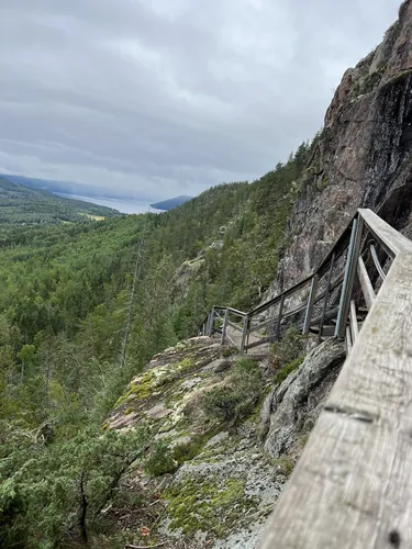 Best Hikes and Trails in Skuleberget Naturreservat | AllTrails
