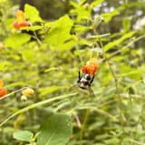 Heads Pond, New Hampshire - 823 Reviews, Map | AllTrails