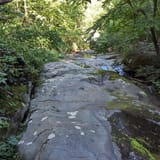 Cedar Run Falls Trail, Virginia - 693 Reviews, Map | AllTrails