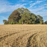 Halnaker Circular, West Sussex, England - 257 Reviews, Map | AllTrails