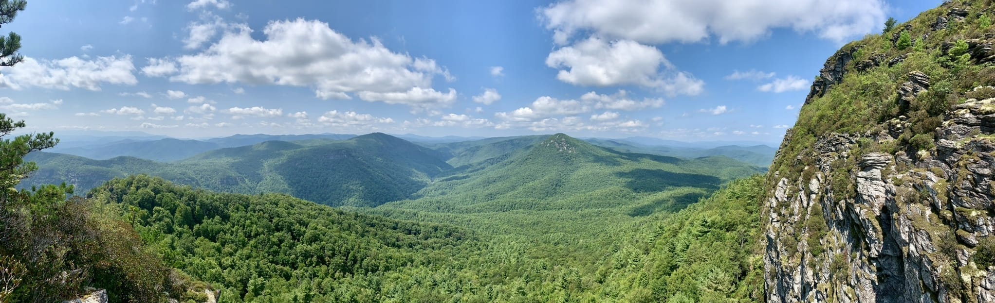 Table Rock Mountain via Spence Ridge Trail: 453 Reviews, Map - North ...