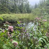 Seward Mountains and Cold River Loop, New York - 19 Reviews, Map ...