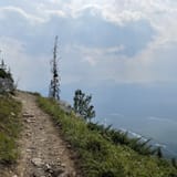Castle Mountain Lookout Trail, Alberta, Canada - 1,765 Reviews, Map ...