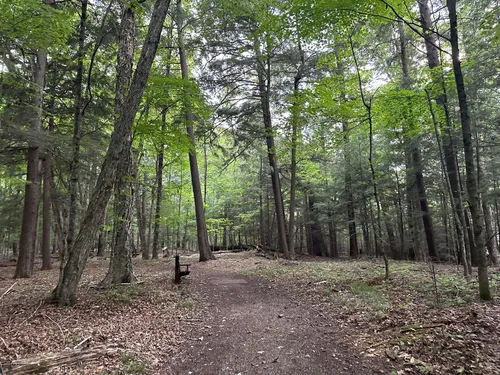 Best Kid Friendly Trails in Rapid River | AllTrails