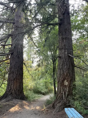 Best River Trails in Silverdale | AllTrails