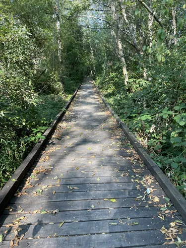 Best River Trails in Silverdale | AllTrails