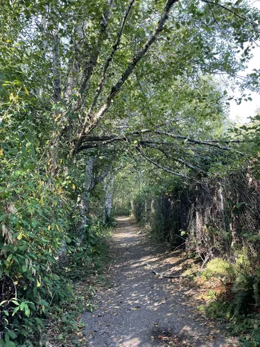 Best River Trails in Silverdale | AllTrails