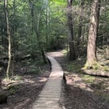 Savage Falls, Tennessee - 698 Reviews, Map | AllTrails