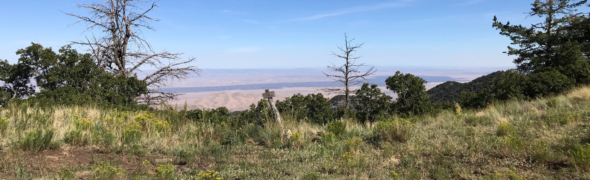 Water Canyon Trail No. 53: 8 fotos - Novo México | AllTrails