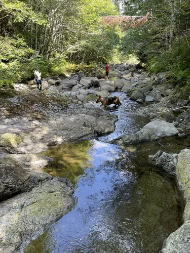 Best Hikes and Trails in Tansky Recreation Site | AllTrails