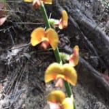 Pindar Cave Falls from Wondabyne Station, New South Wales, Australia ...