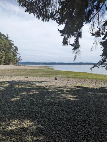 2023 Best Forest Trails in Anderson Island | AllTrails