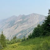 Mount Whittier, Washington - 87 Reviews, Map | AllTrails