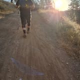 Foresthill Divide Loop, California - 1,108 Reviews, Map | AllTrails