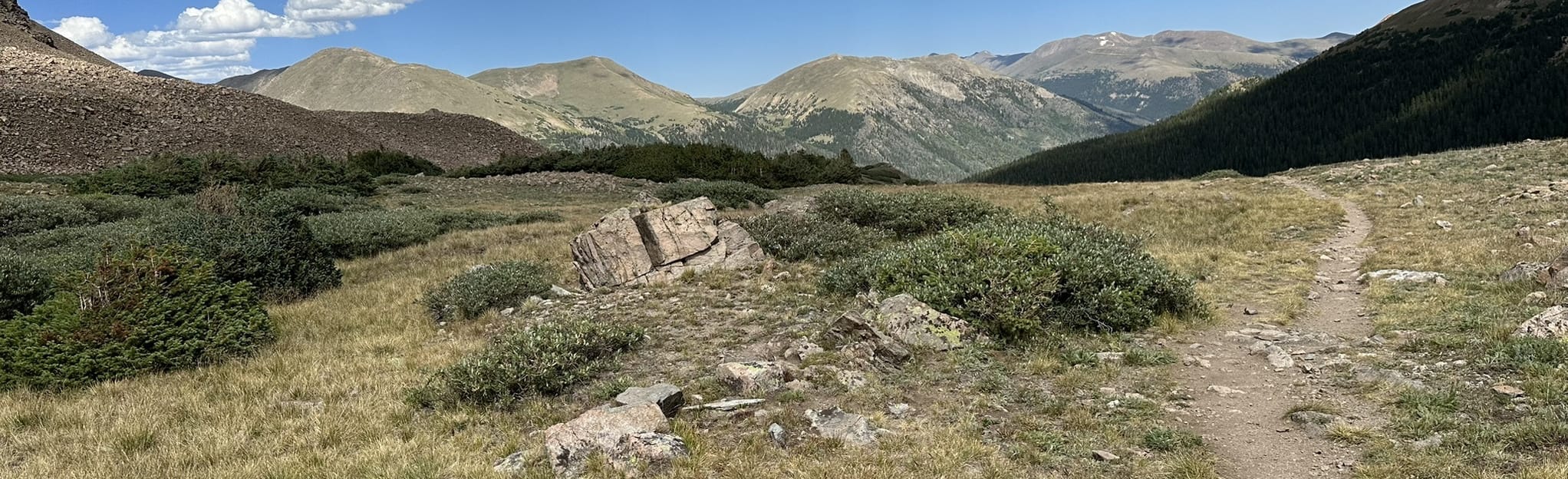 Butler Gulch Trail, Colorado - 2,483 Reviews, Map | AllTrails