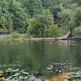 Lake Fenwick, Washington - 666 Reviews, Map | AllTrails