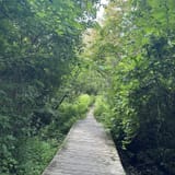 Pinhey Forest 31 Trail, Ontario, Canada - 616 Reviews, Map | AllTrails