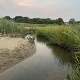 Blue Beach Quonset Point Trail, Rhode Island - 39 Reviews, Map | AllTrails