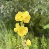 Ryan Park Loop, Rhode Island - 422 Reviews, Map | AllTrails