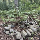 Ryan Park Loop, Rhode Island - 422 Reviews, Map | AllTrails